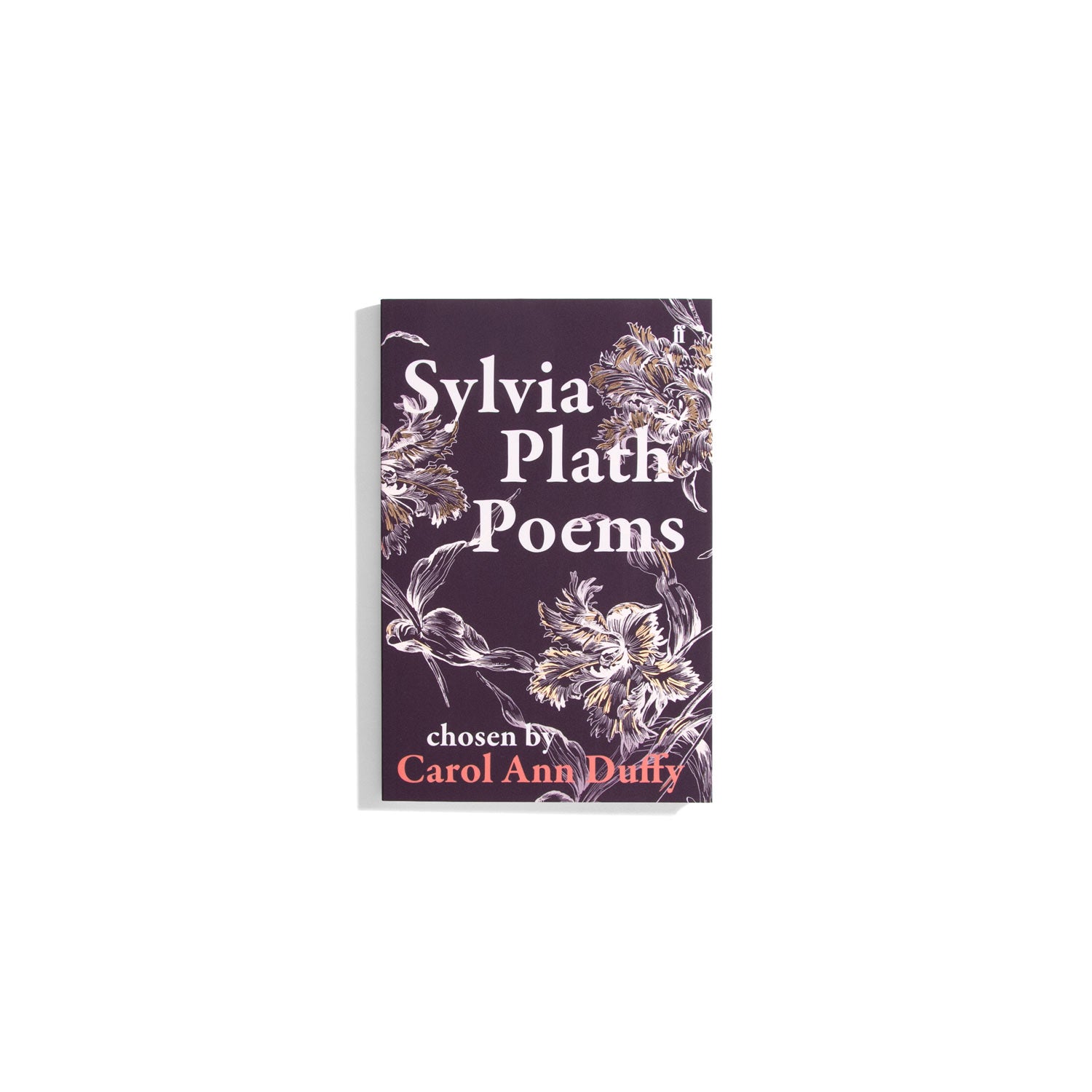 Sylvia Plath – do you read me?!