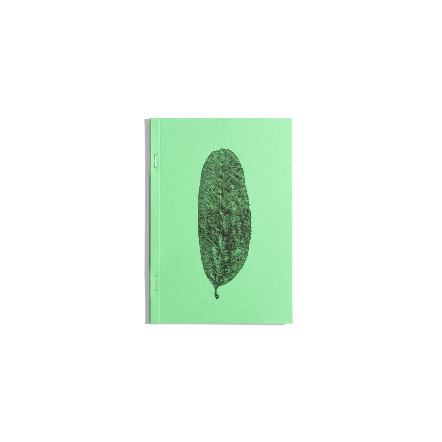 Plant Scans - Jamie Yeo – do you read me?!