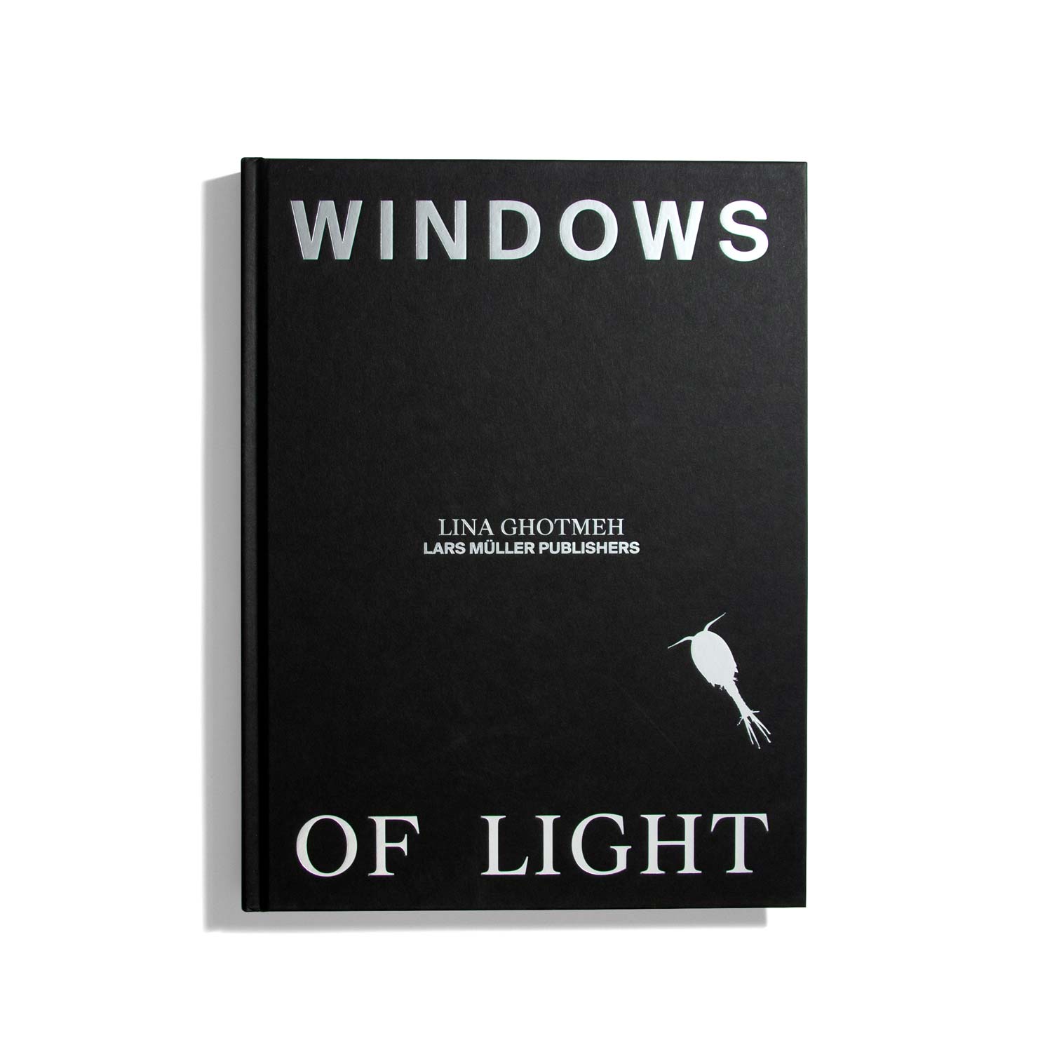 Windows of Light – do you read me?!