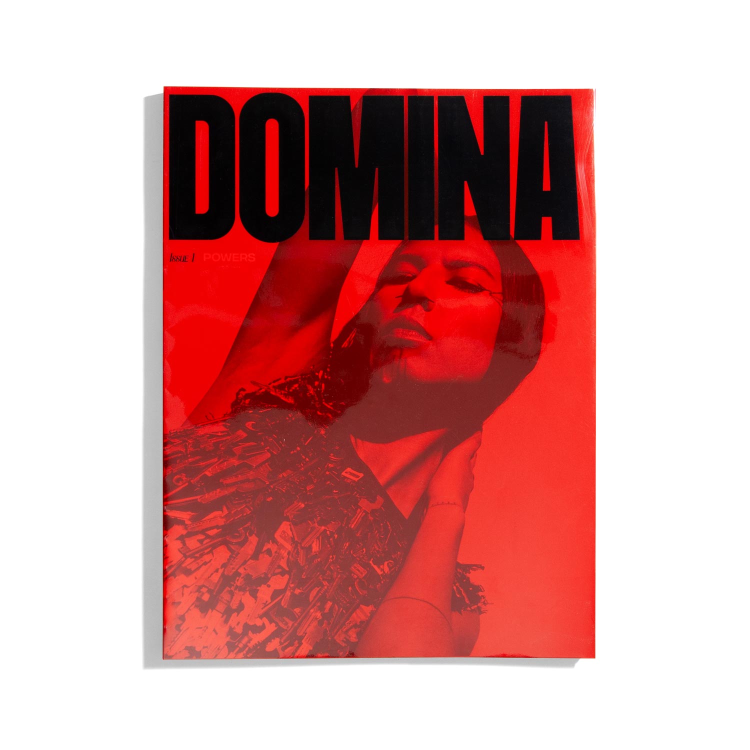 Domina Journal #1 2025 - Powers – do you read me?!